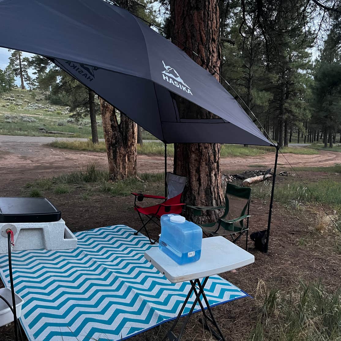 Long Jim Loop Camping | The Dyrt