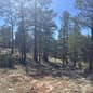 Long Jim Loop Camping | Grand Canyon, Arizona