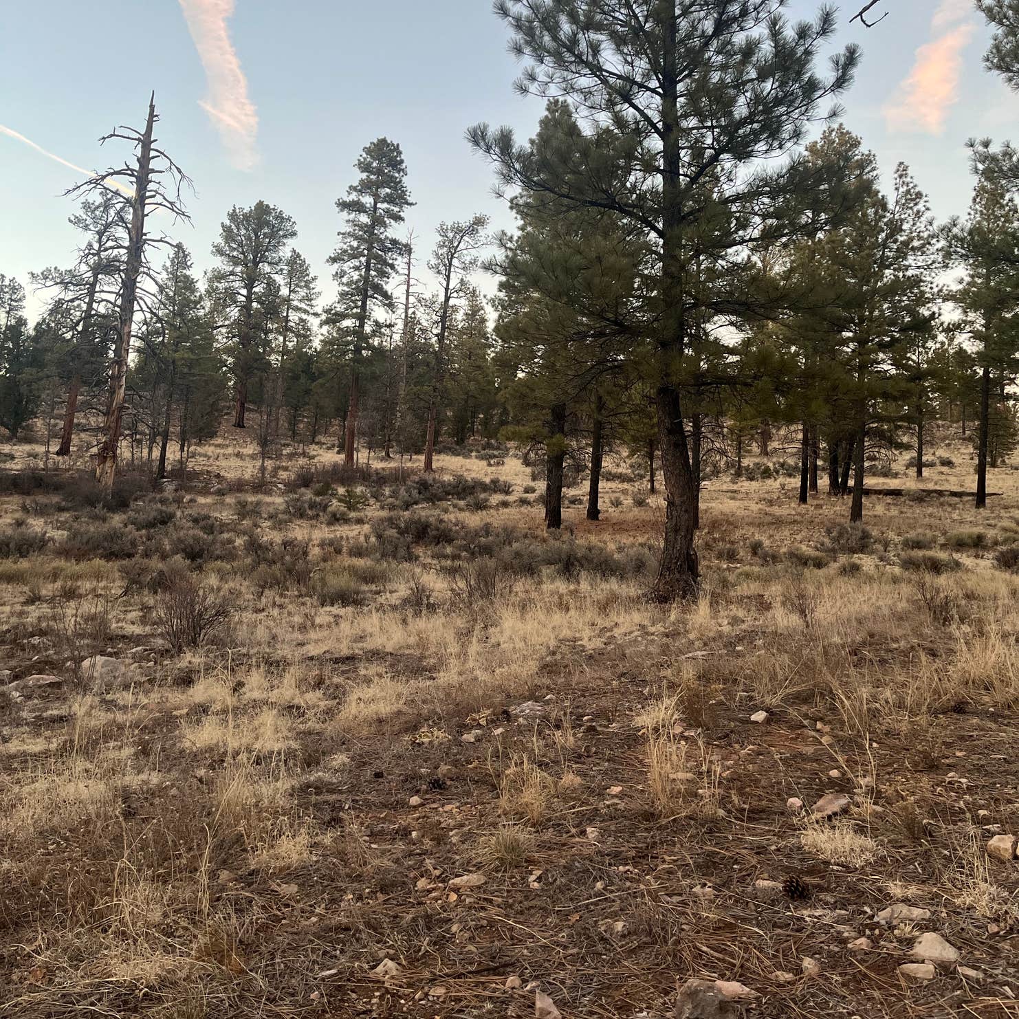 Long Jim Loop Campground | Grand Canyon, Arizona