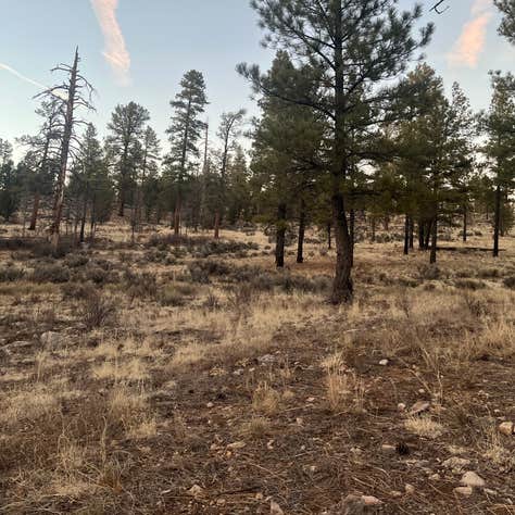 Long Jim Loop Campground | Grand Canyon, Arizona