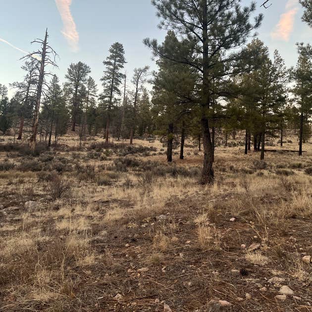 Long Jim Loop Campground | Grand Canyon, Arizona