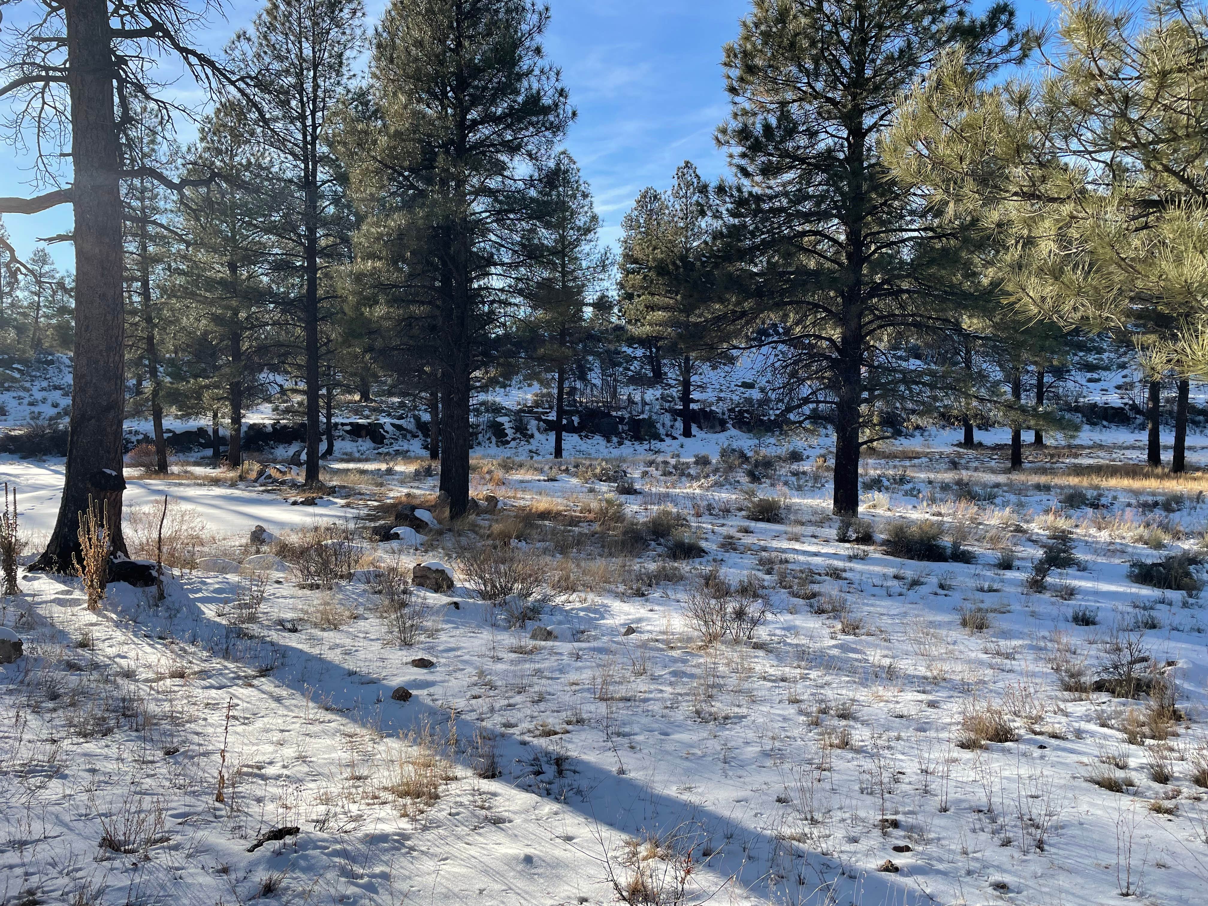 Long Jim Loop Camping | Grand Canyon, AZ