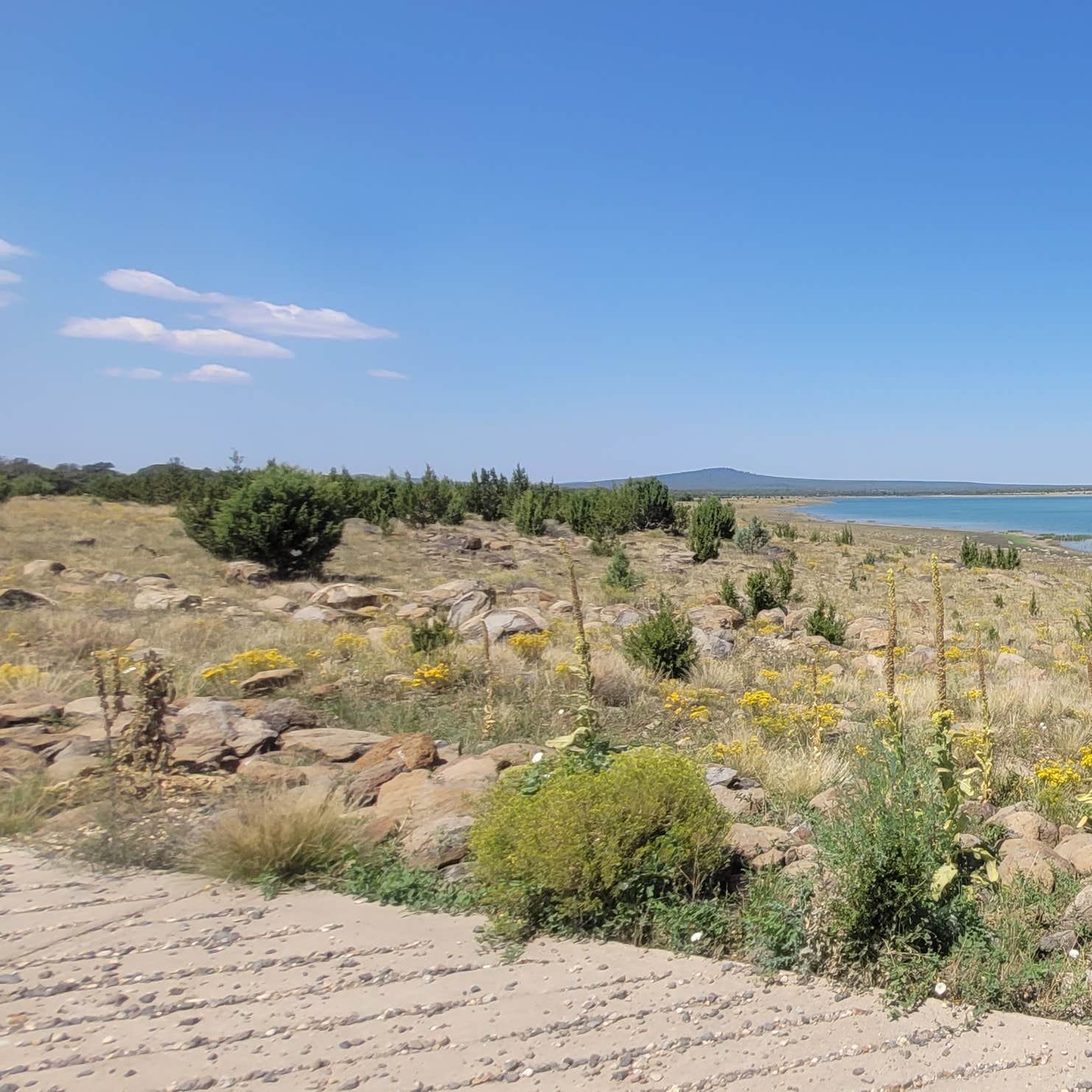 Long Lake Dispersed Camping | Happy Jack, Arizona