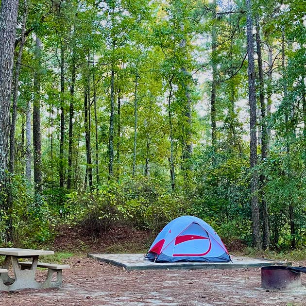 Longleaf Campground — Congaree National Park | Gadsden, South Carolina
