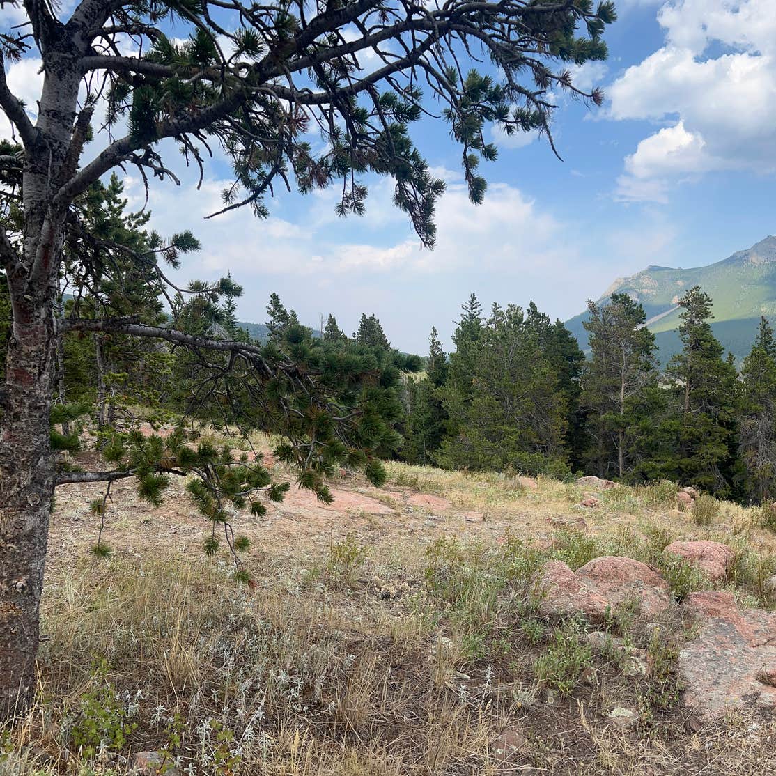 Longs Peak Campground — Rocky Mountain National Park | Allenspark, Colorado