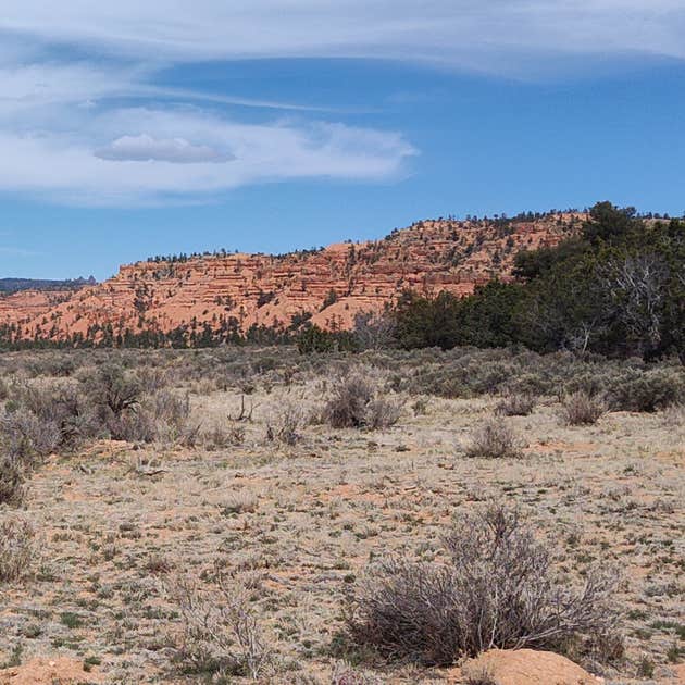 Losee Canyon Camping | Dixie National Forest, Utah