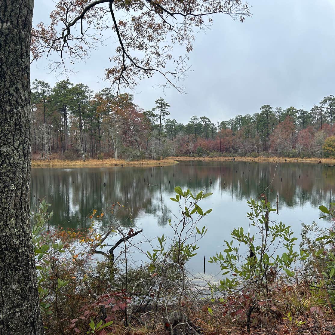 Indian Creek Recreation Area Camping | Woodworth, LA