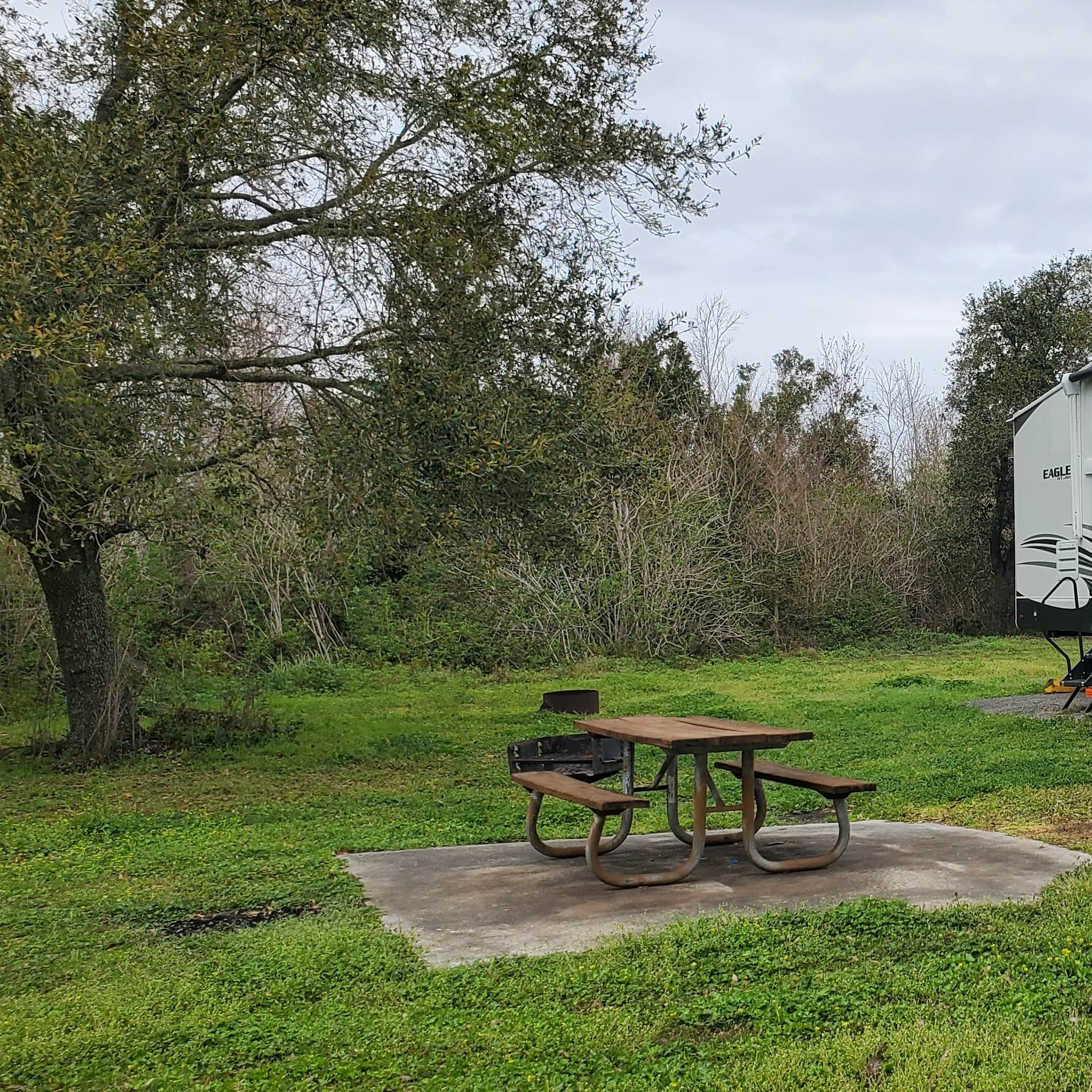 Bayou Segnette State Park Campground | Westwego, Louisiana
