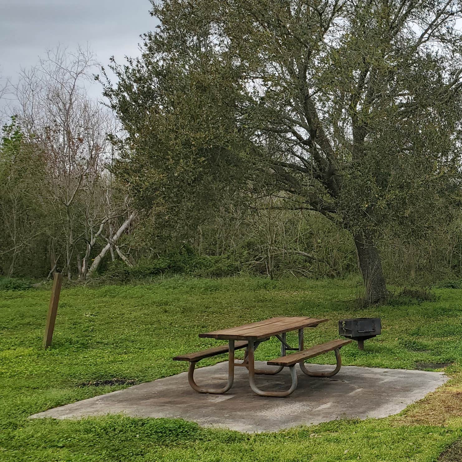 Bayou Segnette State Park Campground | Westwego, Louisiana