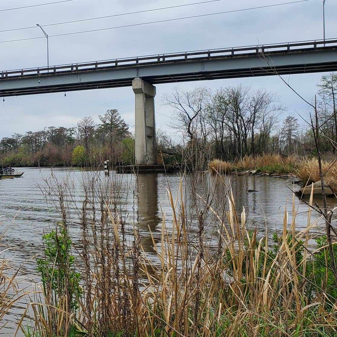 Bayou Segnette State Park Campground | Westwego, Louisiana