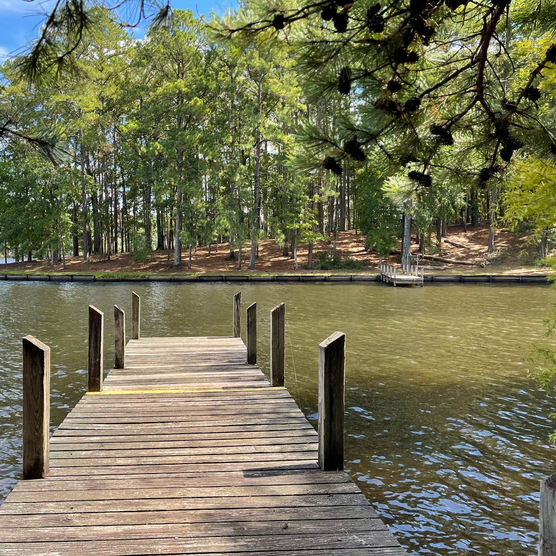 Lake Claiborne State Park Campground | Homer, Louisiana