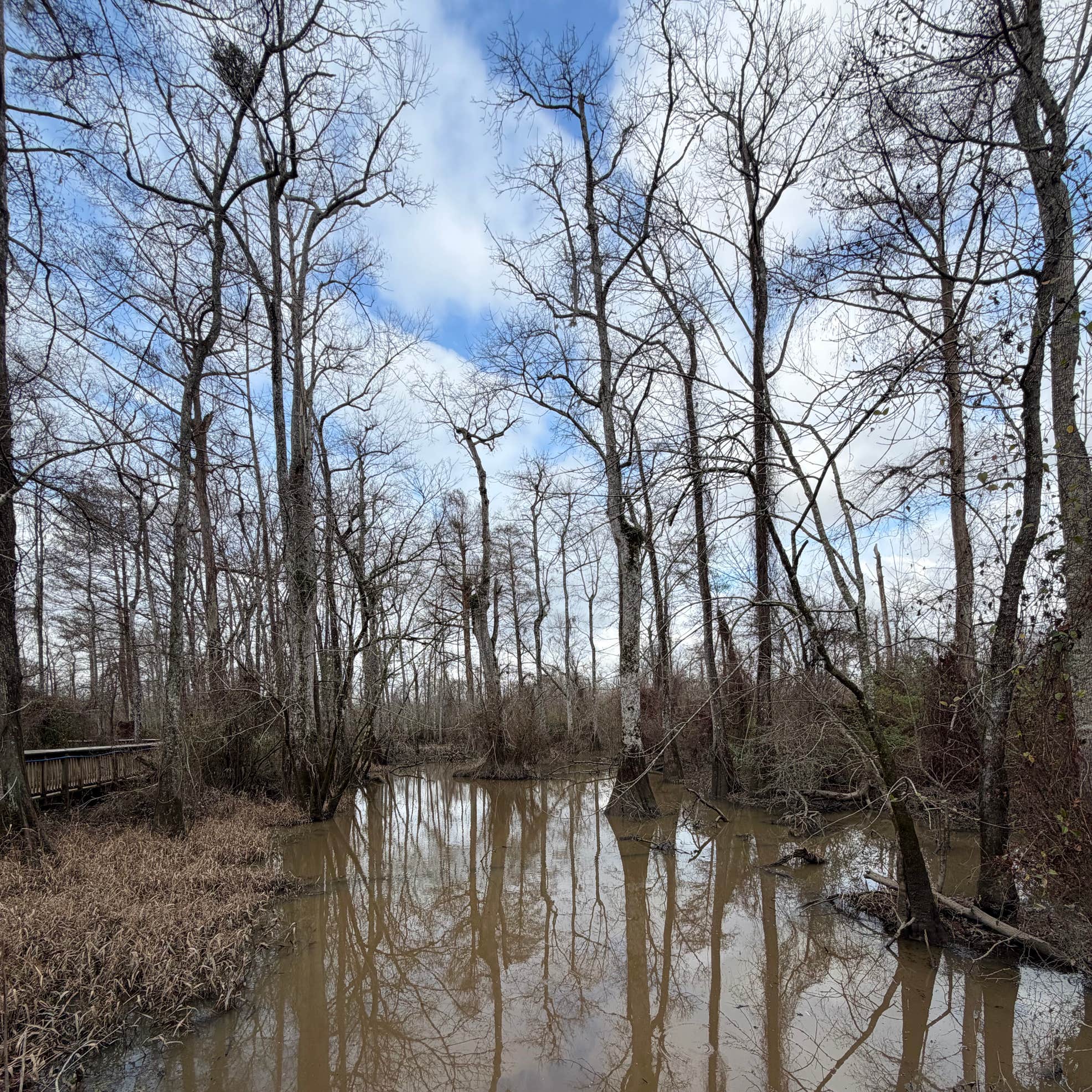Tickfaw State Park Campground | Maurepas, Louisiana