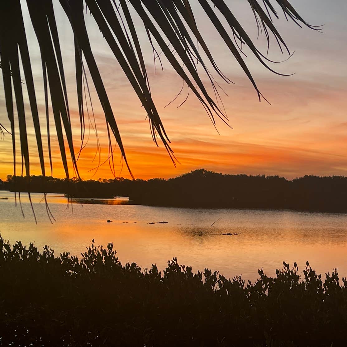 Low Key Hideway Camping | Cedar Key, FL