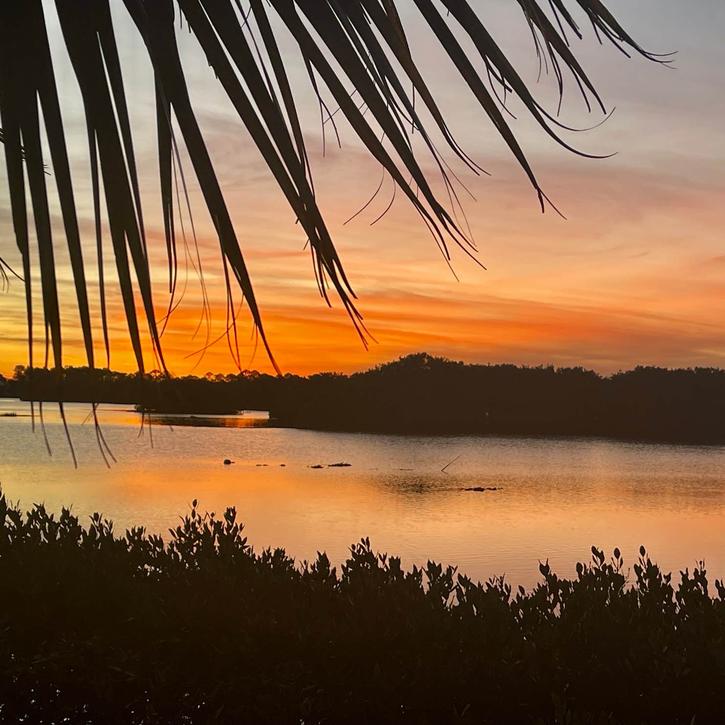 Low Key Hideway Camping | Cedar Key, Florida