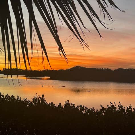 Low Key Hideway Camping | Cedar Key, Florida