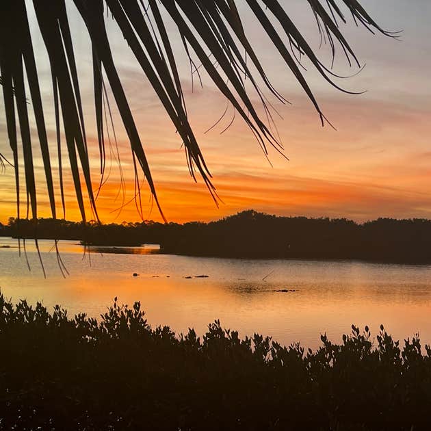Low Key Hideway Camping | Cedar Key, Florida