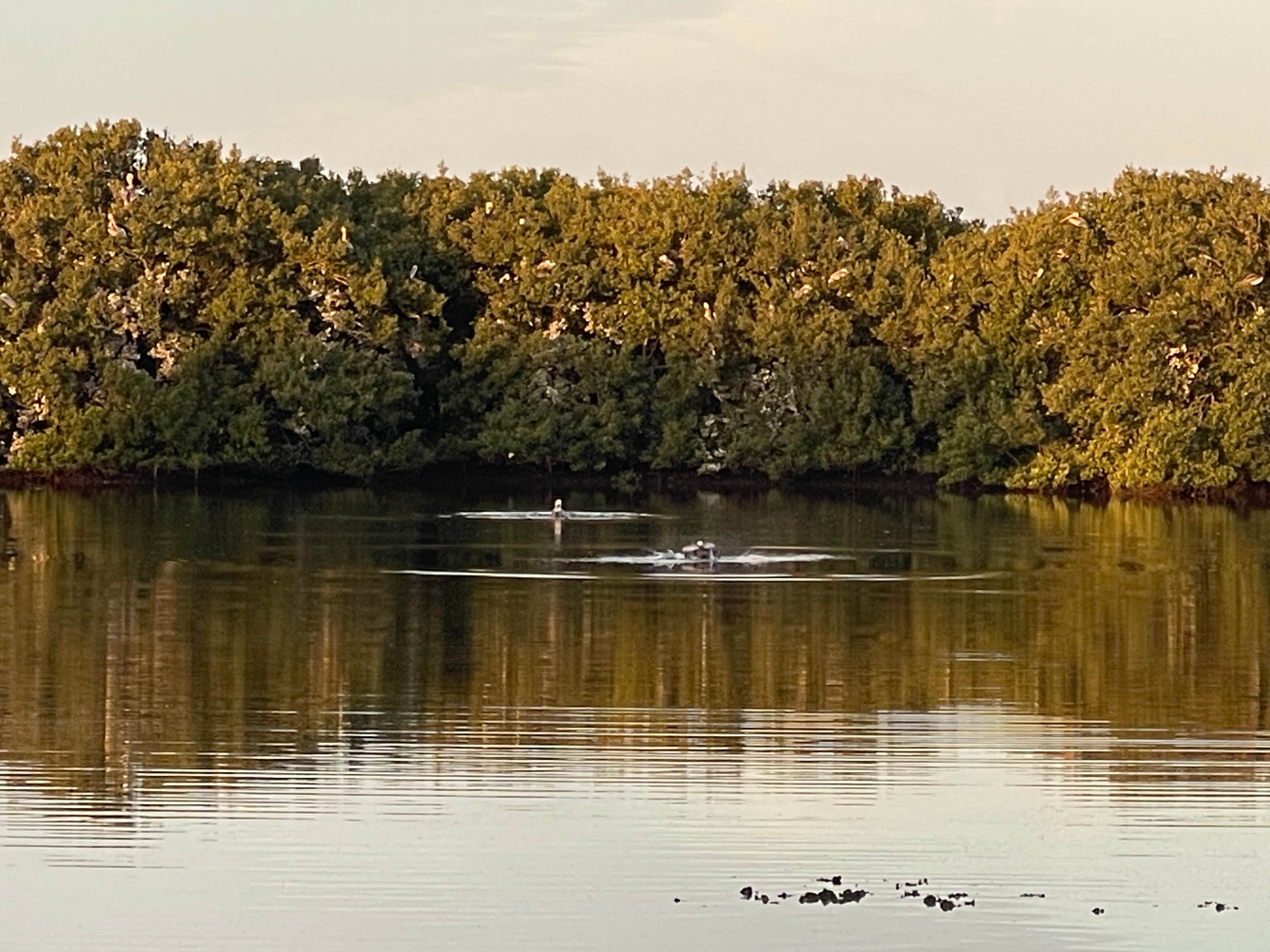 Low Key Hideway Camping | Cedar Key, FL