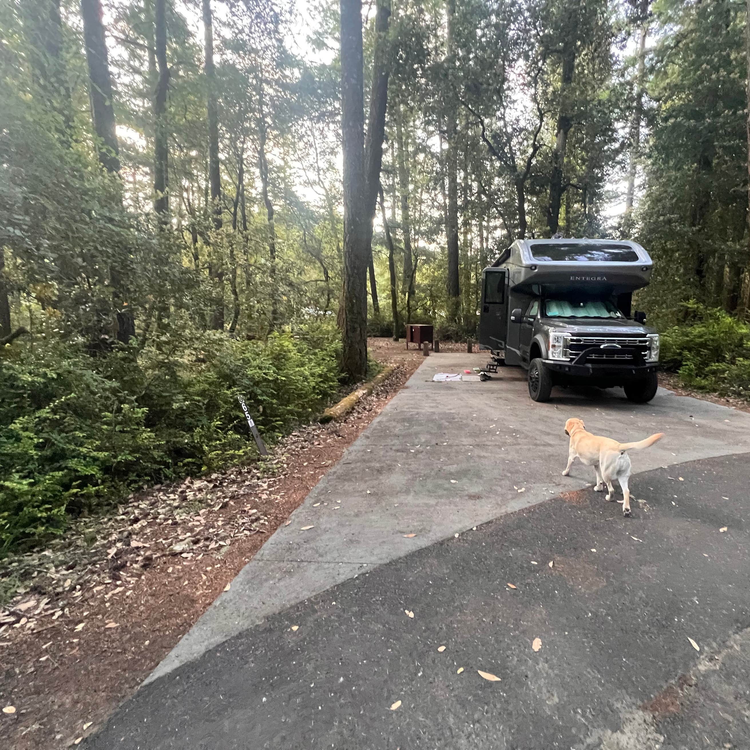 Benbow Lake State Recreation Area Campground | Garberville, California