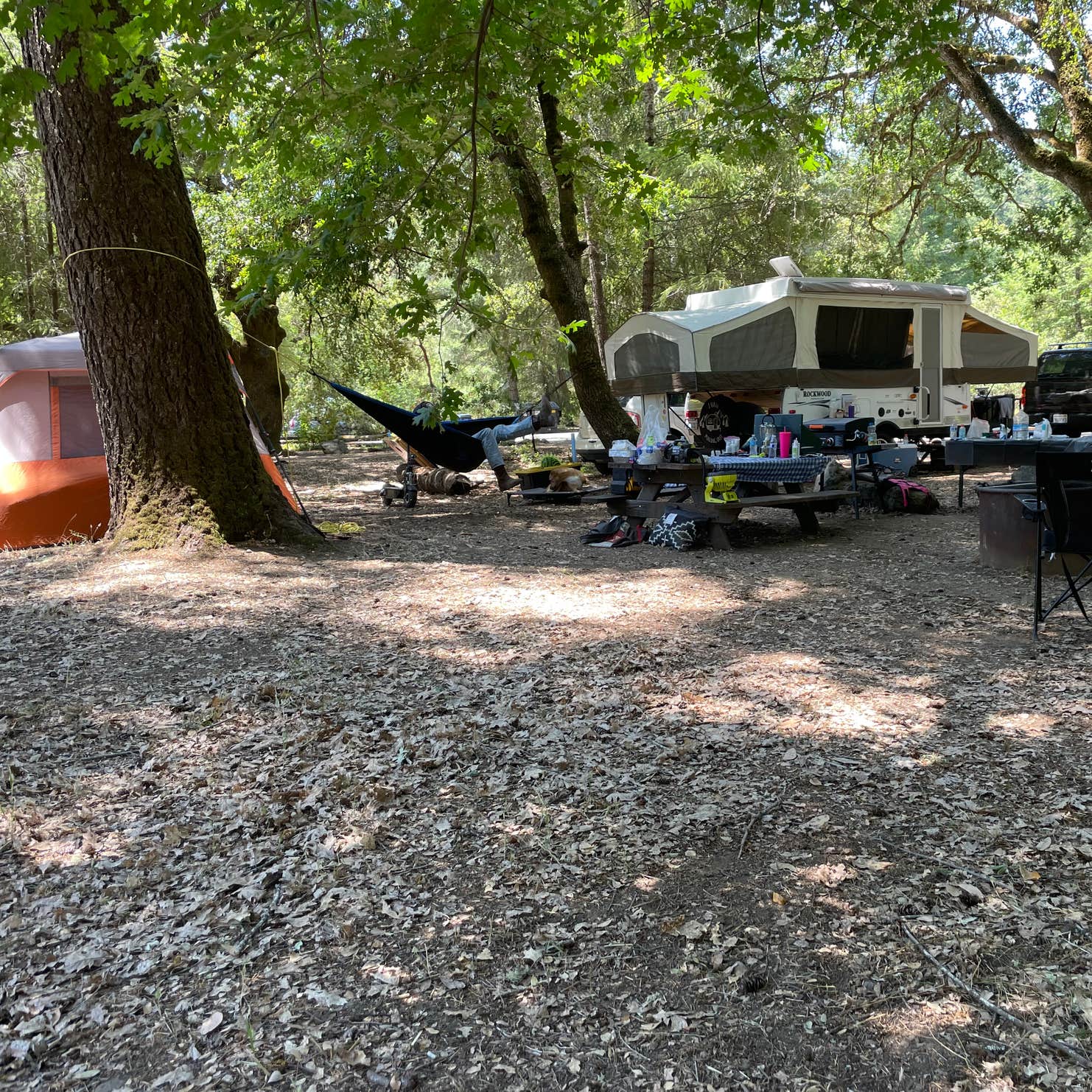 Benbow State Recreation Area Campground | Garberville, California