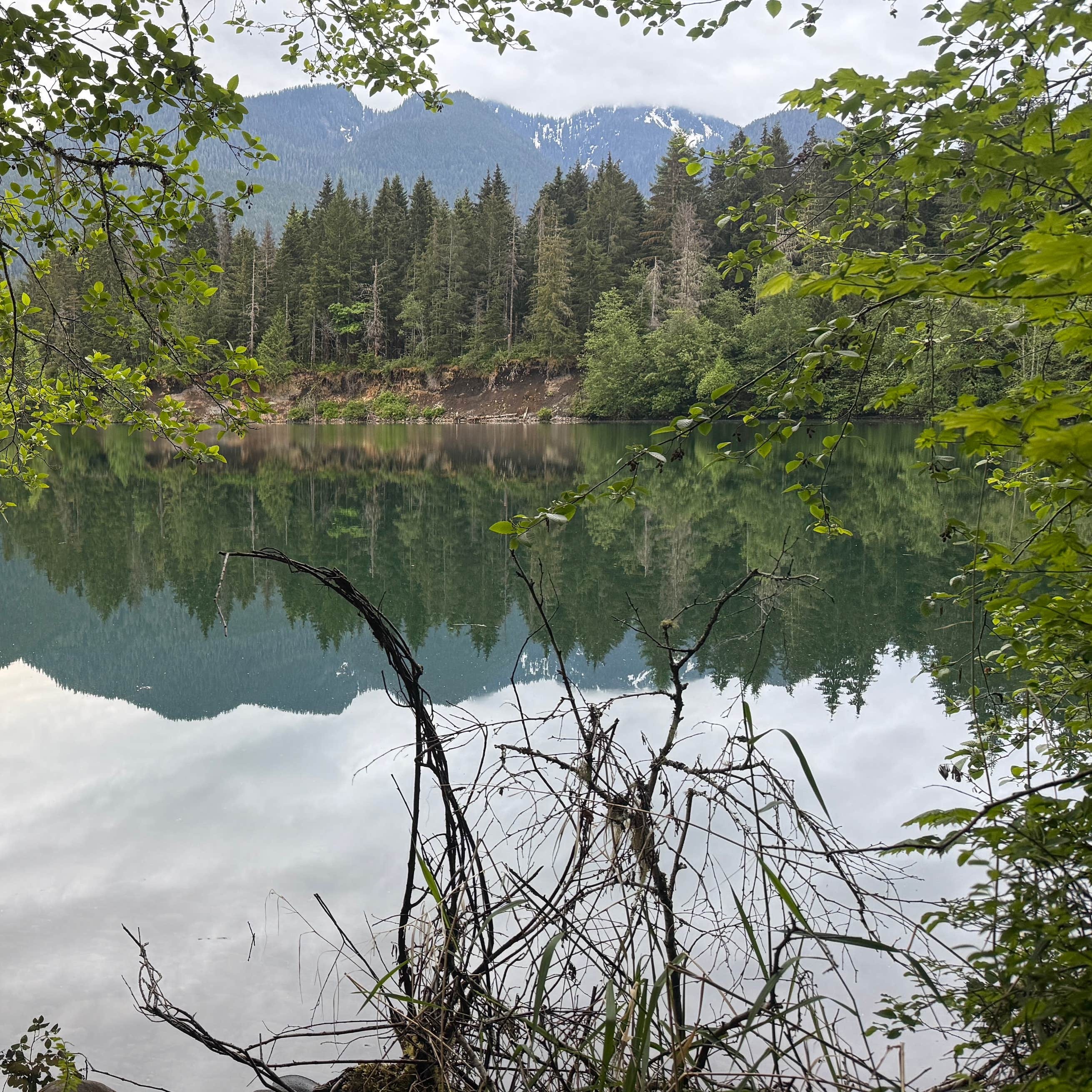 Lower Sandy Dispersed Camp | Concrete, Washington