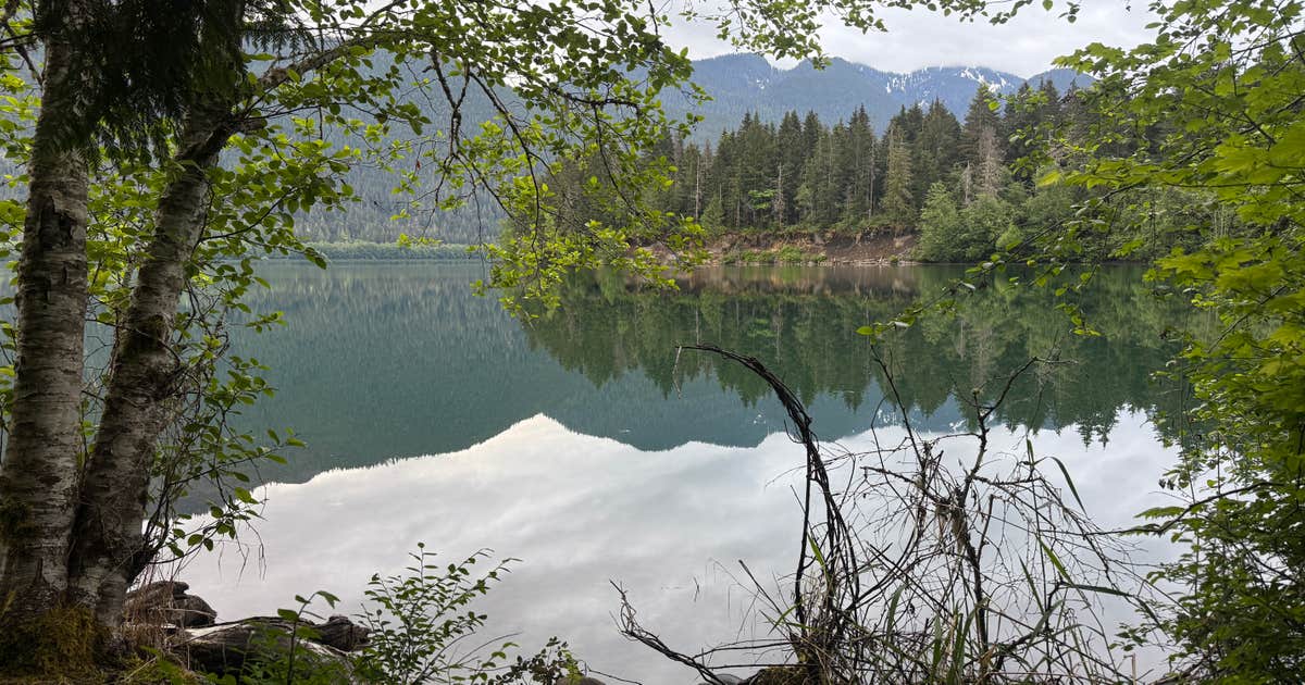 Lower Sandy Dispersed Camp | Concrete, Washington