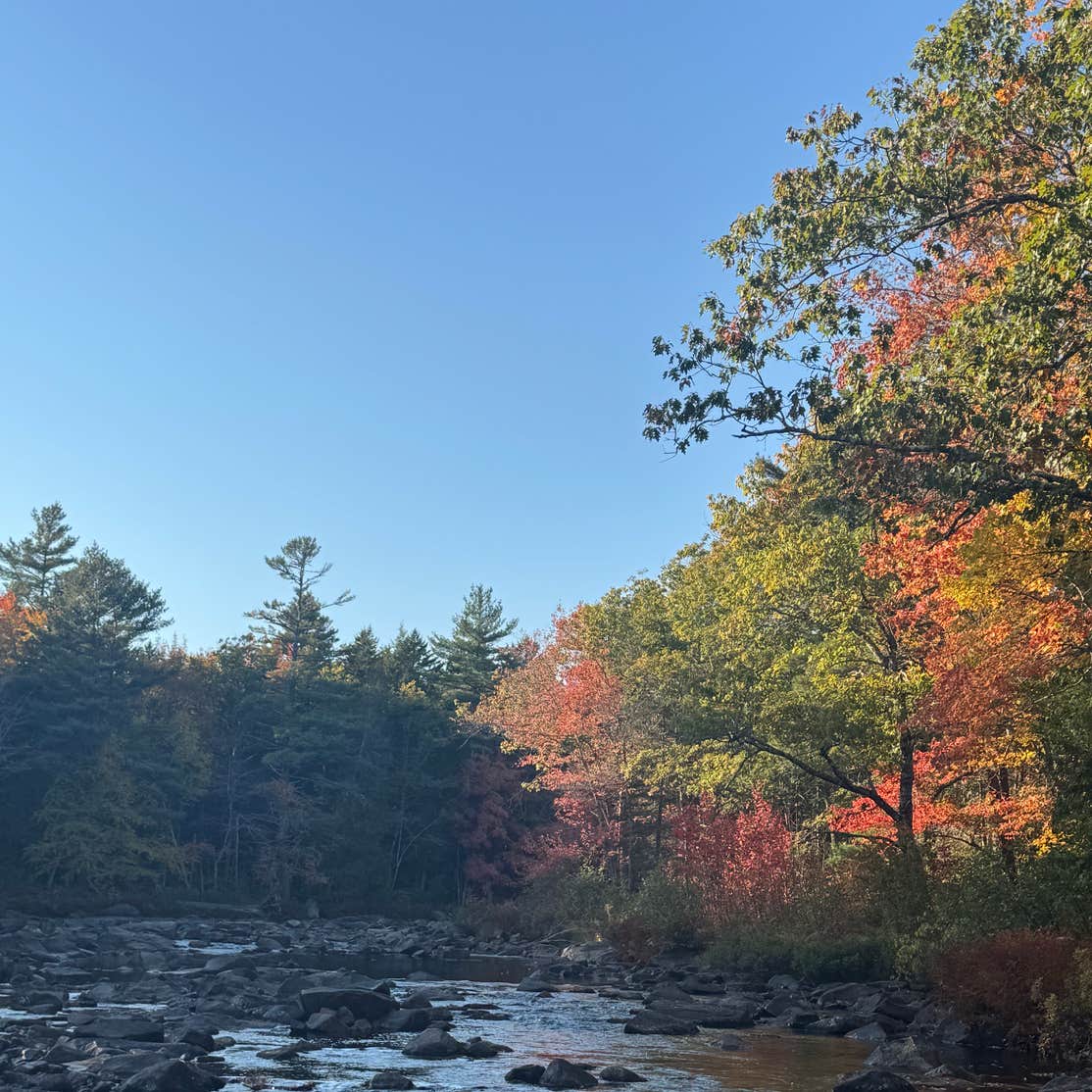 Machias River Camp off Route 9 | Beddington, Maine