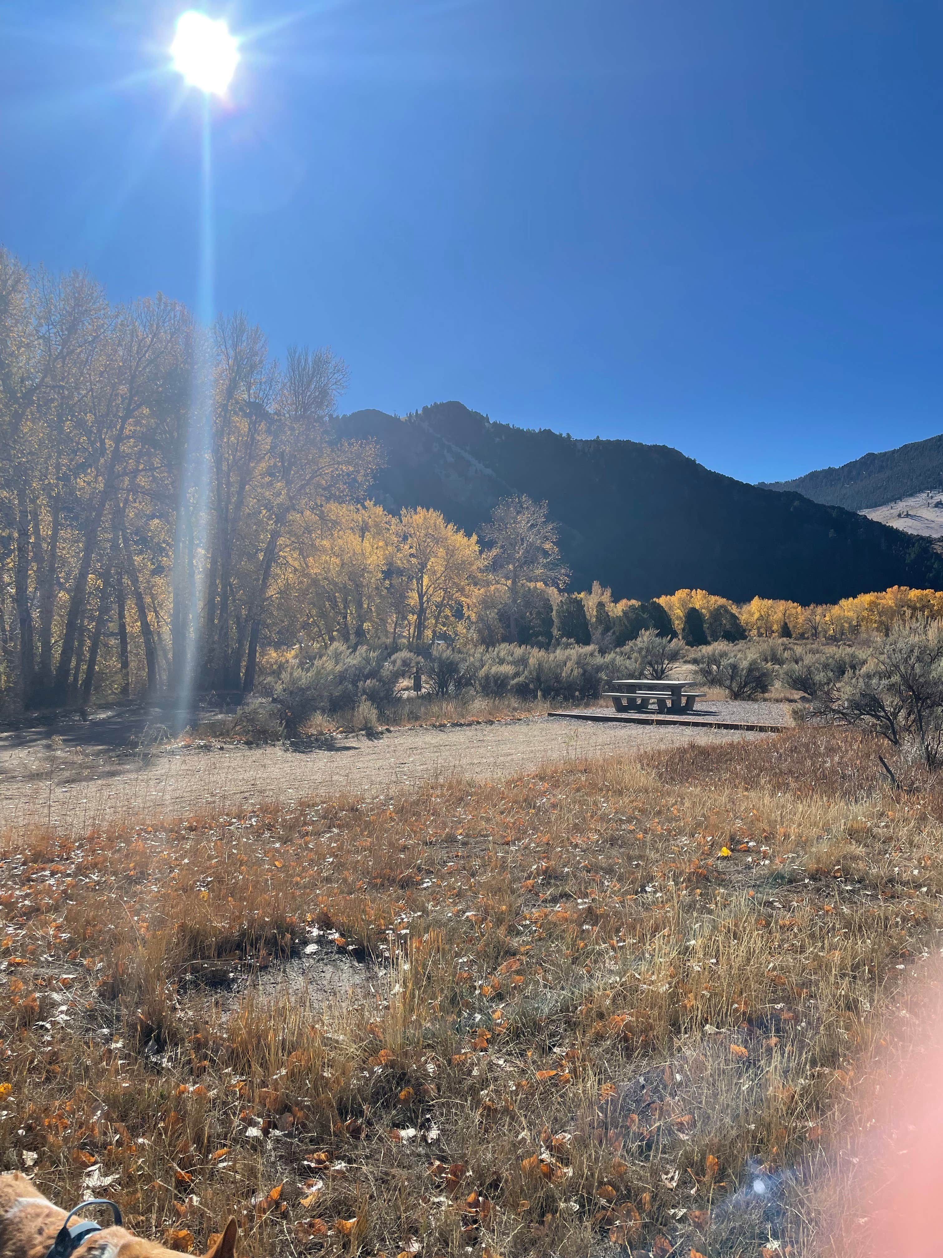 Maiden Rock Dispersed Camping | Divide, Montana