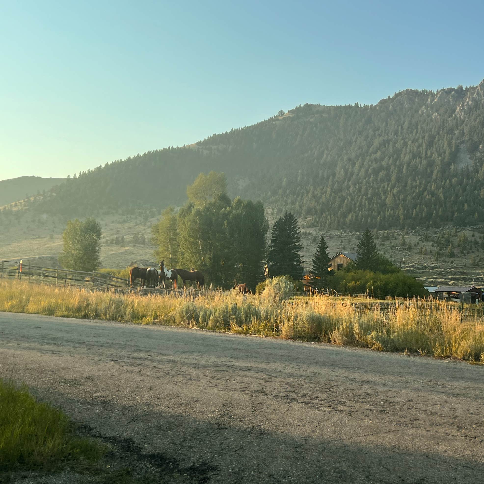 Maiden Rock Dispersed Camping | Divide, Montana