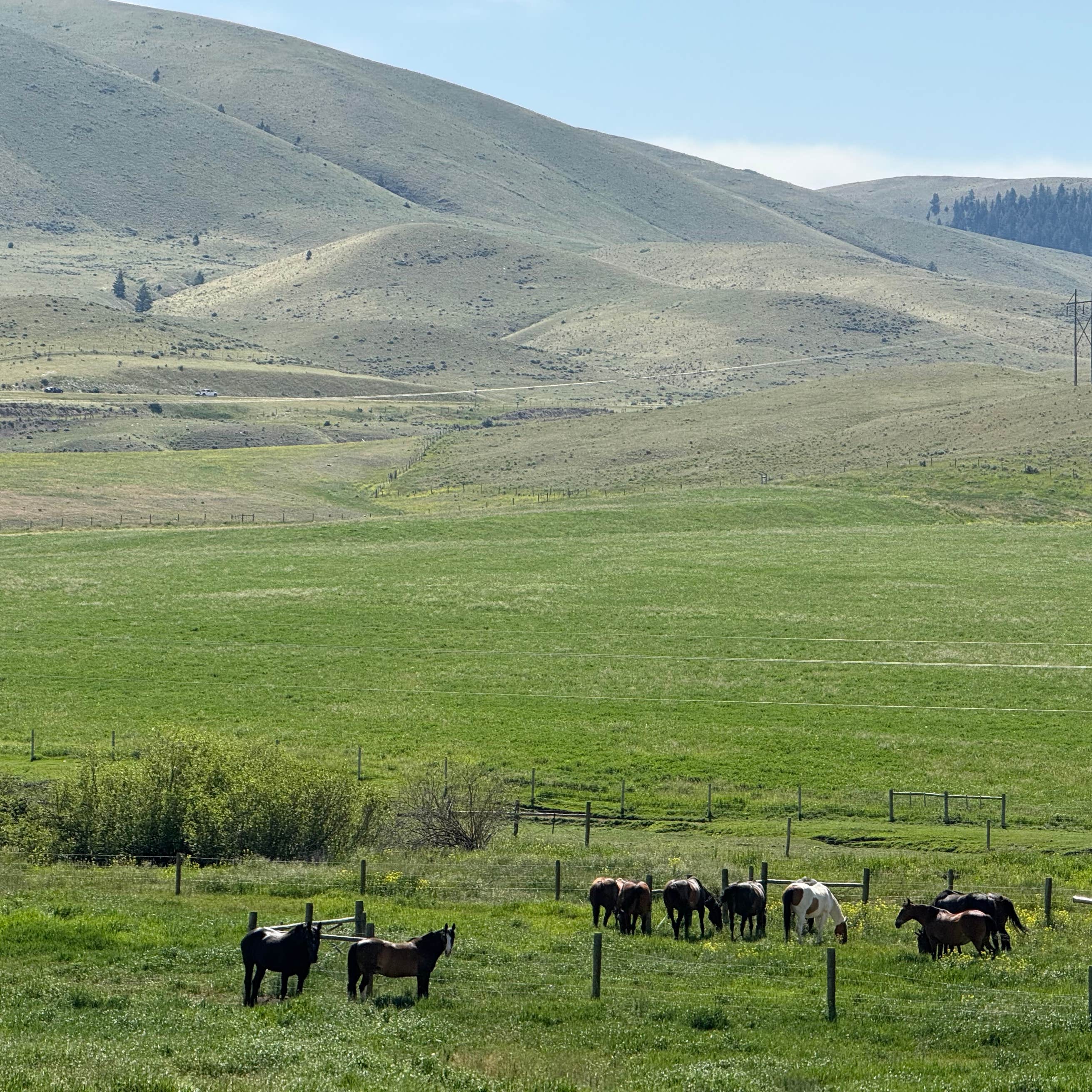 Maiden Rock Dispersed Camping | Divide, Montana
