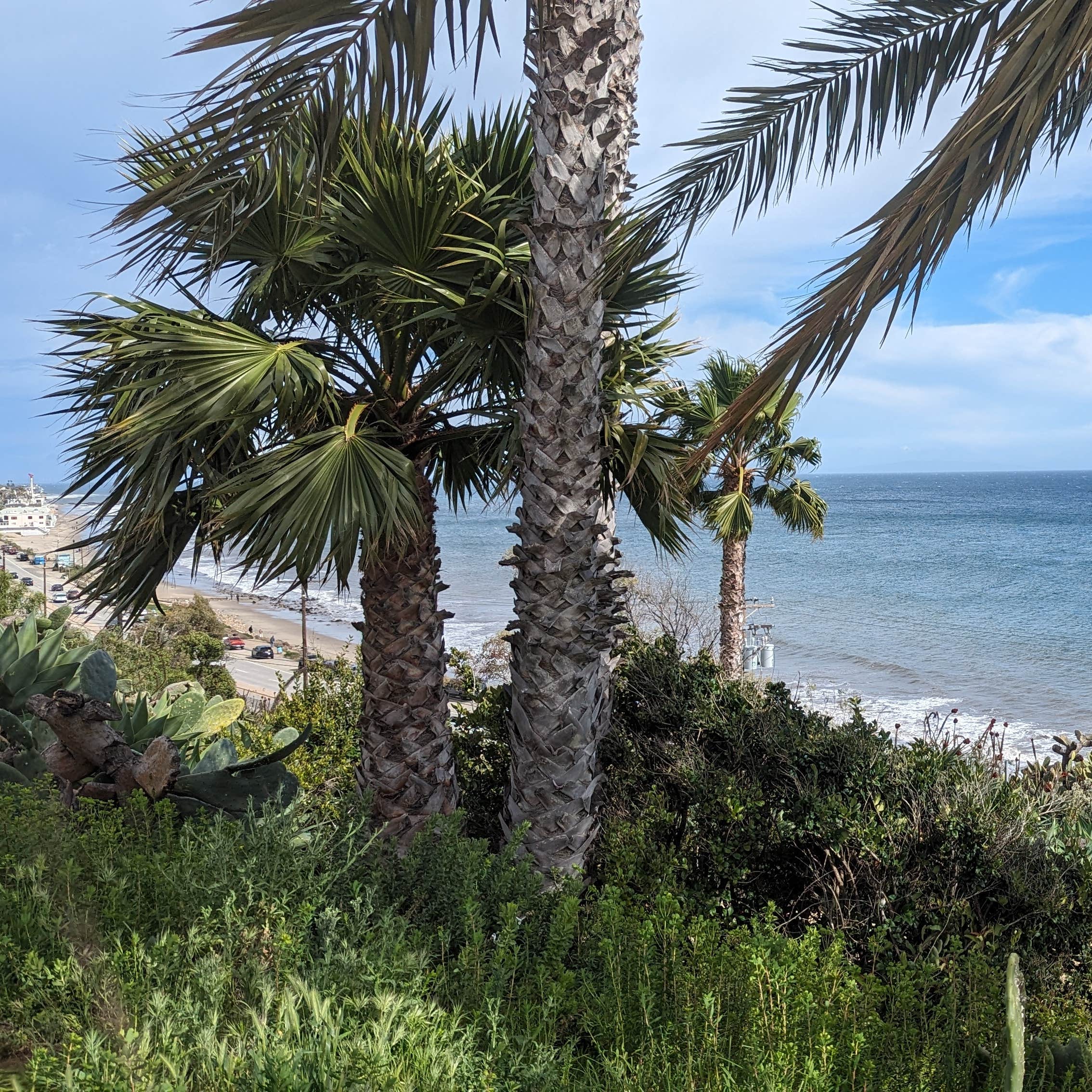 Malibu Beach RV Park | Malibu, CA