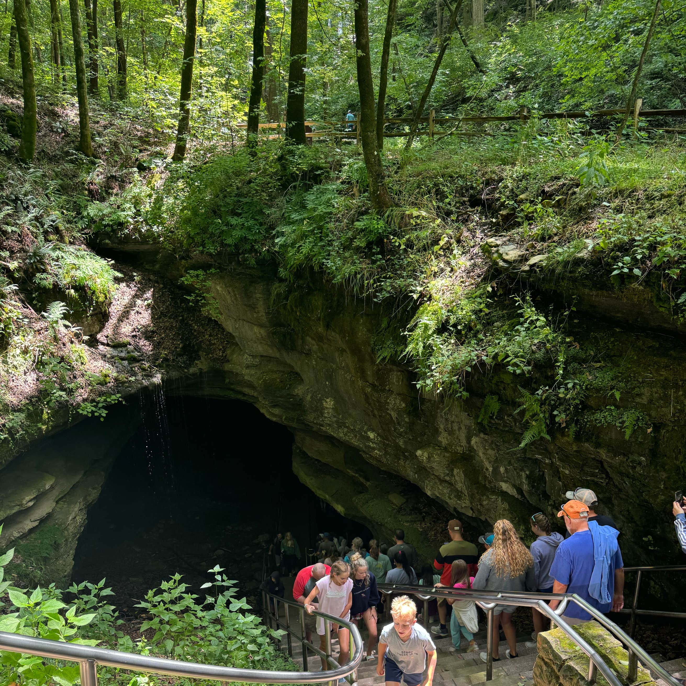 Mammoth Cave Campground — Mammoth Cave National Park | Mammoth Cave ...