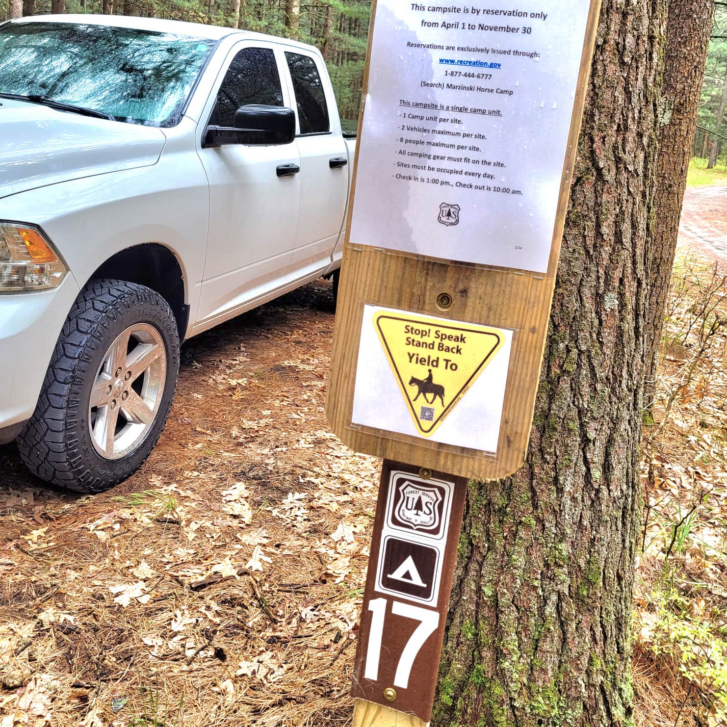 Manistee National Forest Marzinski Horse Trail Campground | Manistee ...