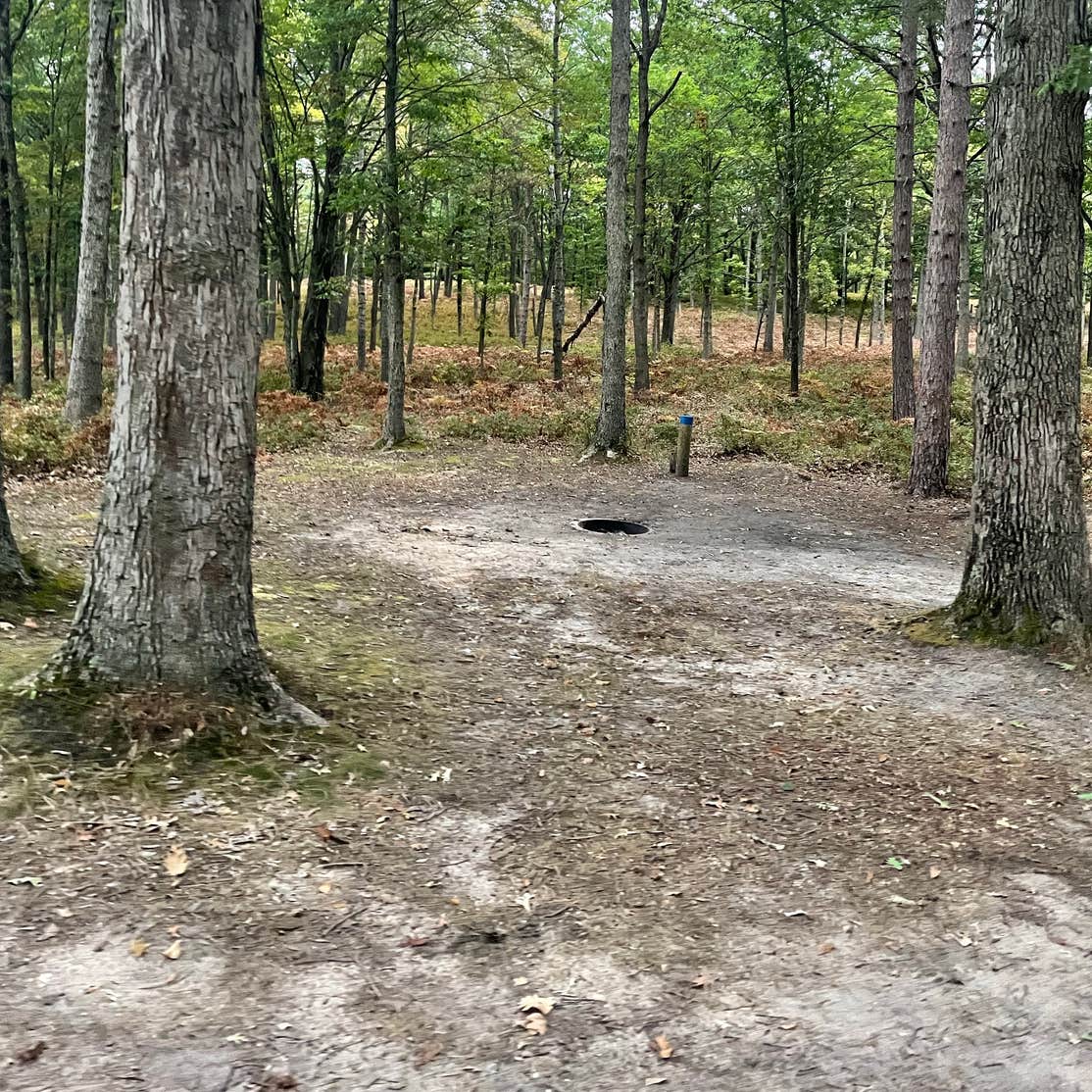 Green Road Dispersed - Manistee NF Camping | Ludington, Michigan