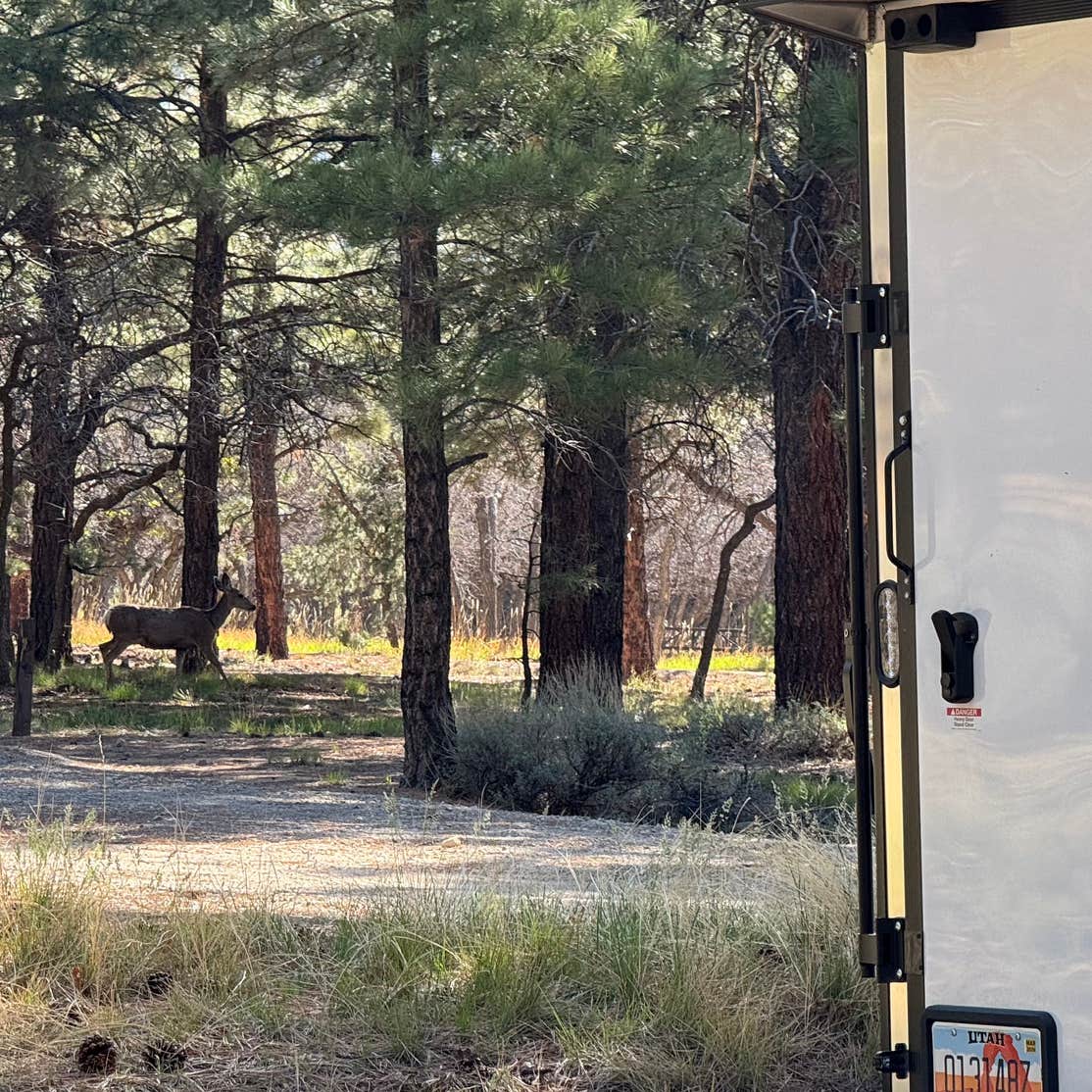 Manti-LaSal National Forest Nizhoni Campground | Blanding, Utah