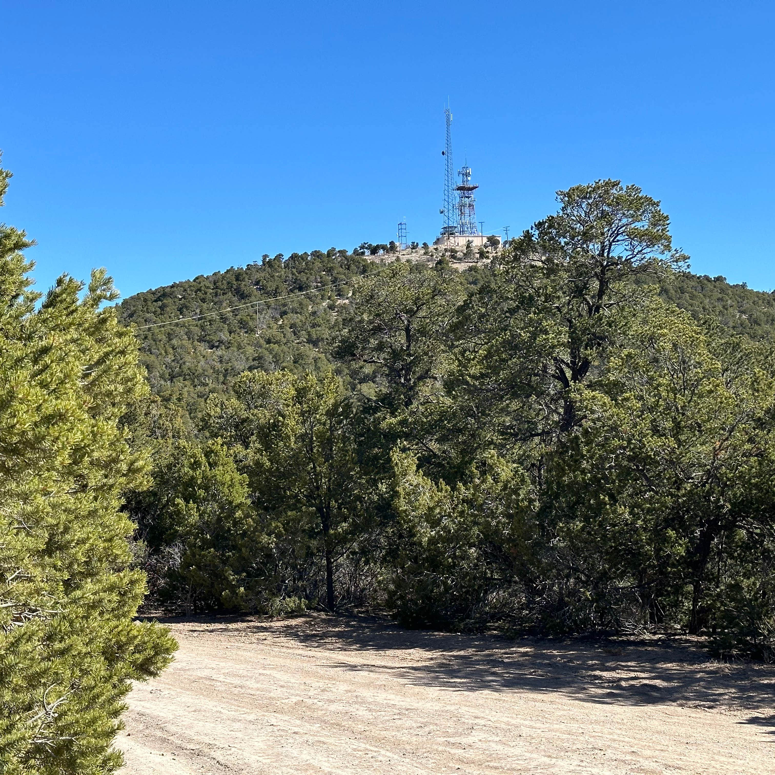 Manzanita Rec Zone Dispersed Camping - Sandia District | Ponderosa, New Mexico