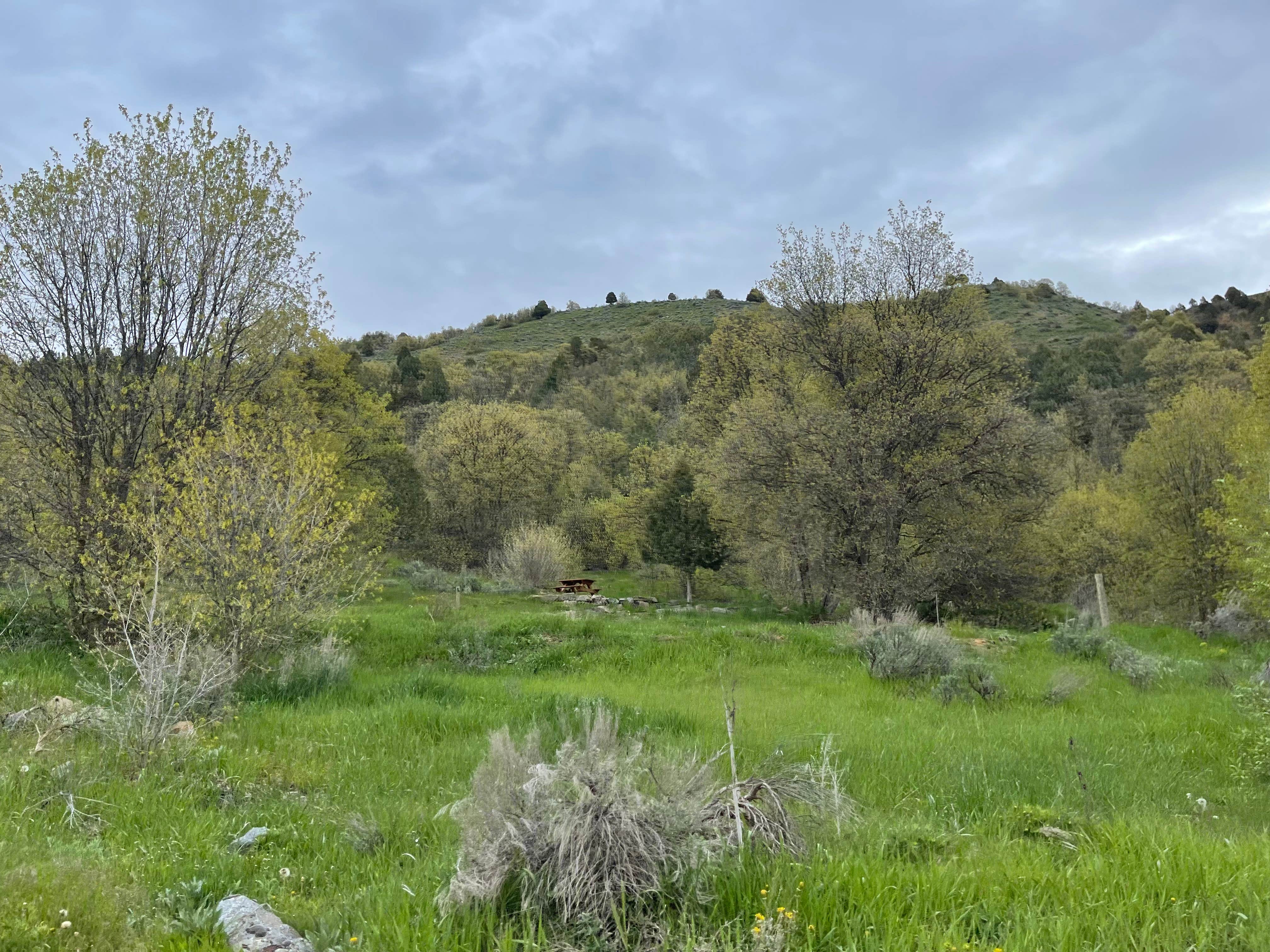 Maple Grove Hot Springs Camping | Preston, UT
