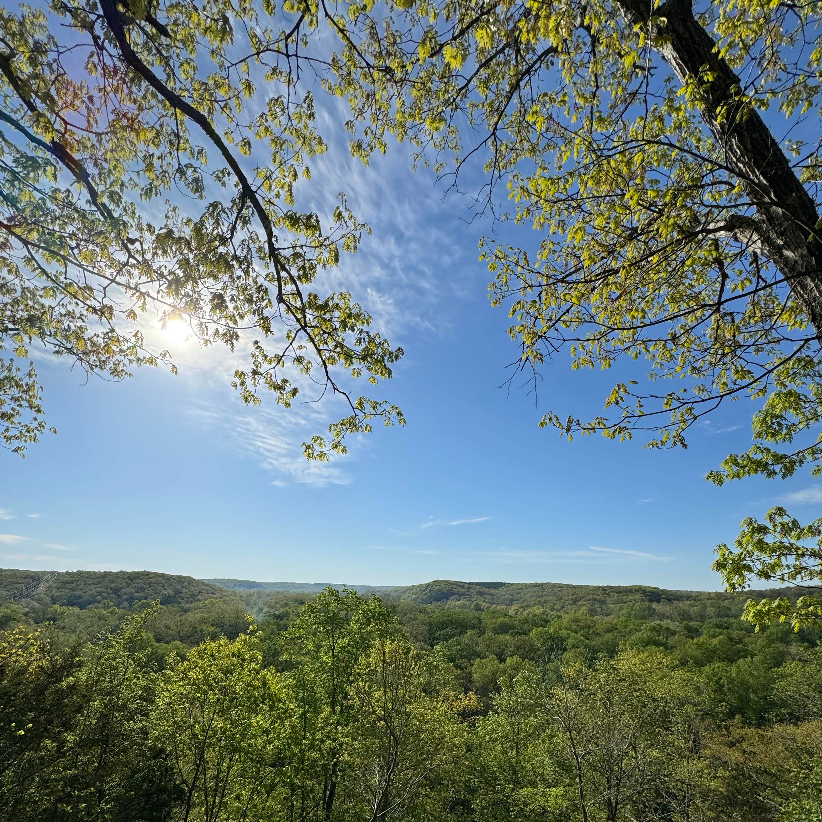 Maramec Spring Park Camping | St James, MO