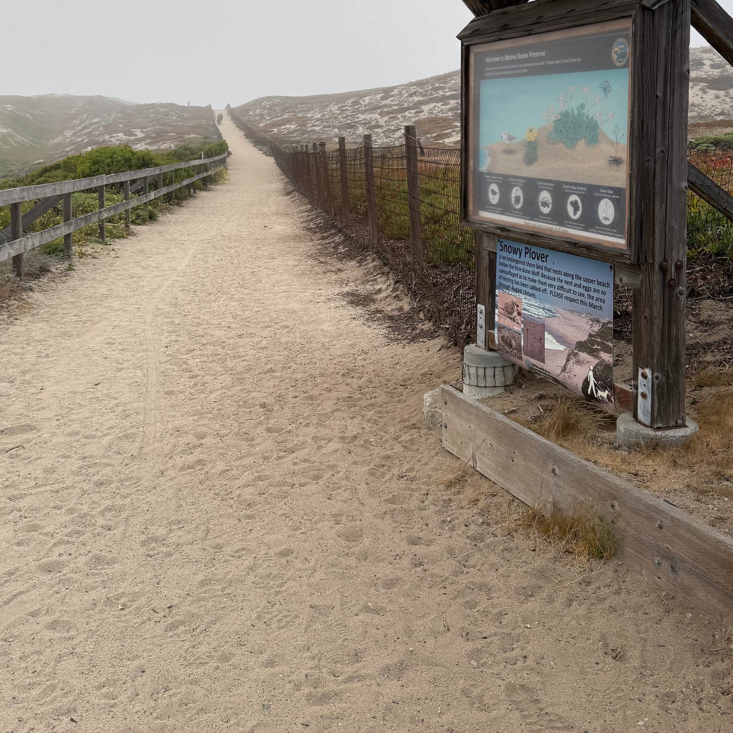 Marina Dunes RV Park | Marina, California