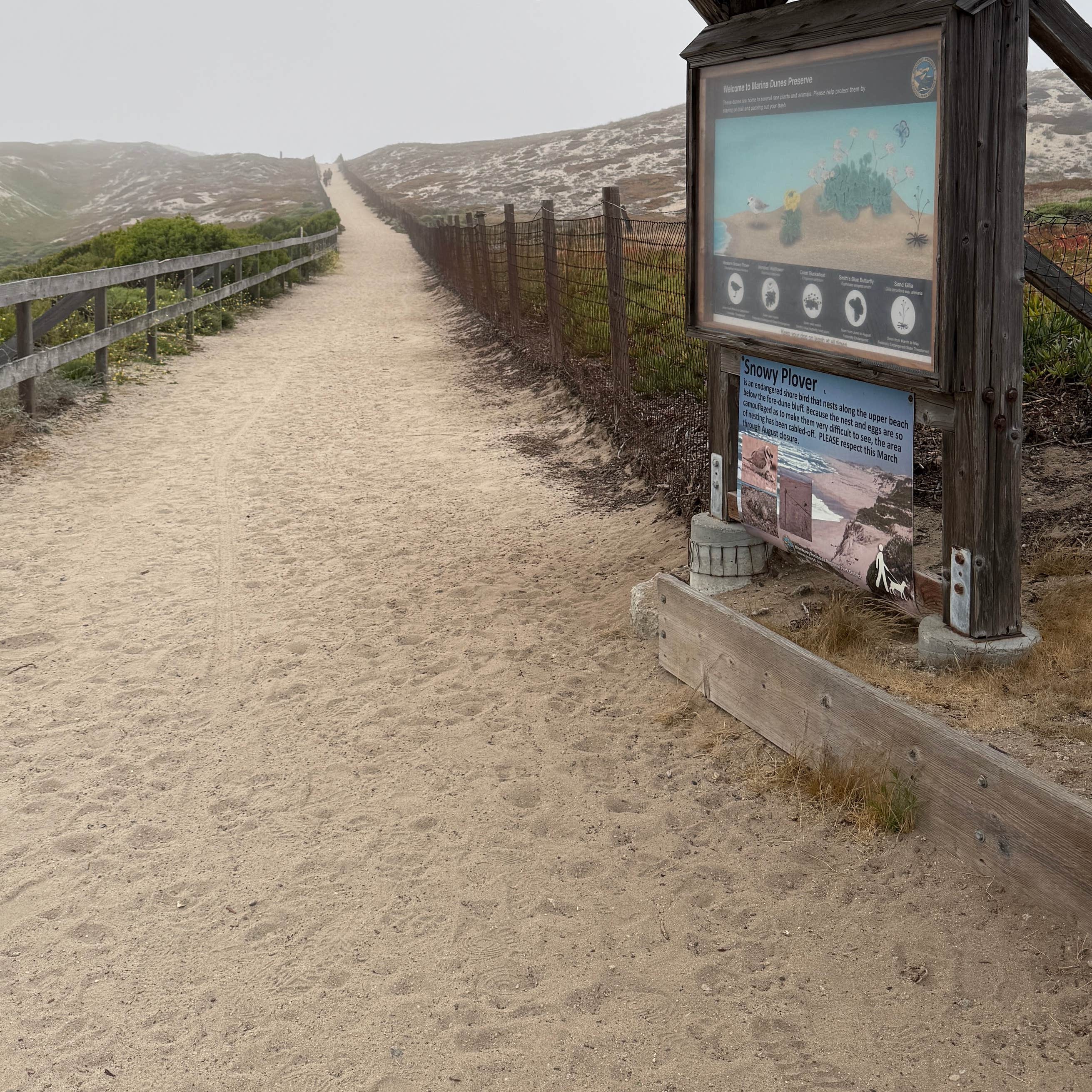Marina Dunes RV Park | Marina, California