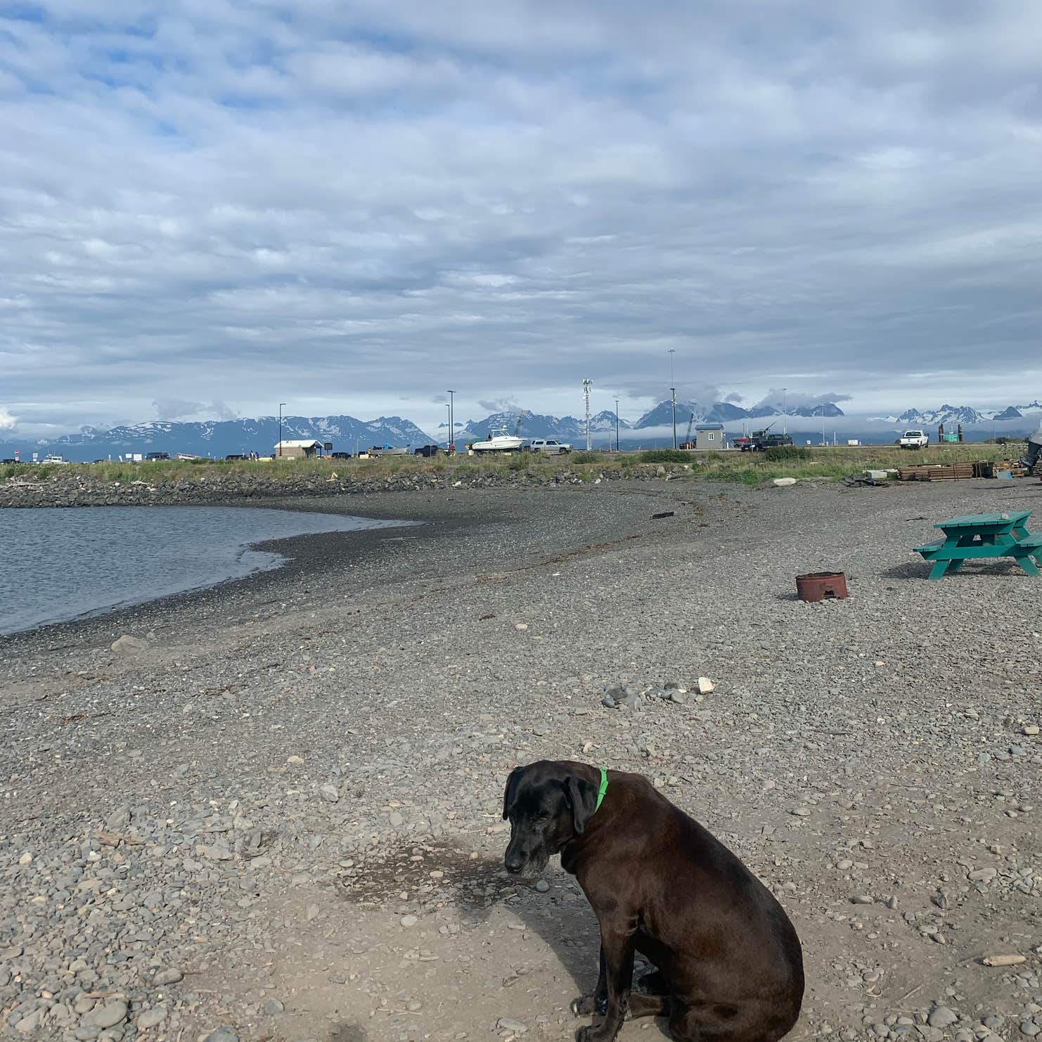 Mariner Park Camping | Homer, Alaska