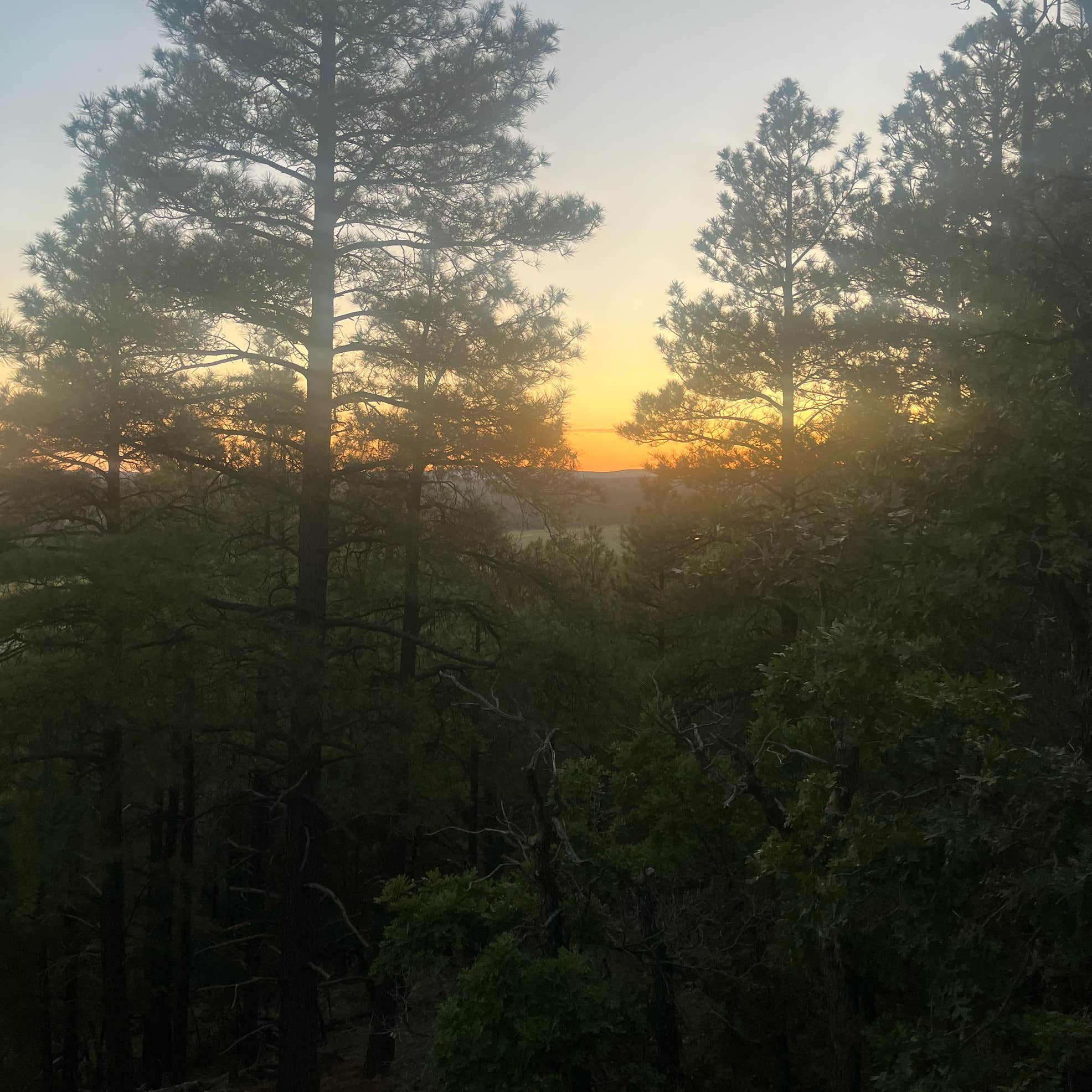 Marshall Lake Camping | Flagstaff, AZ