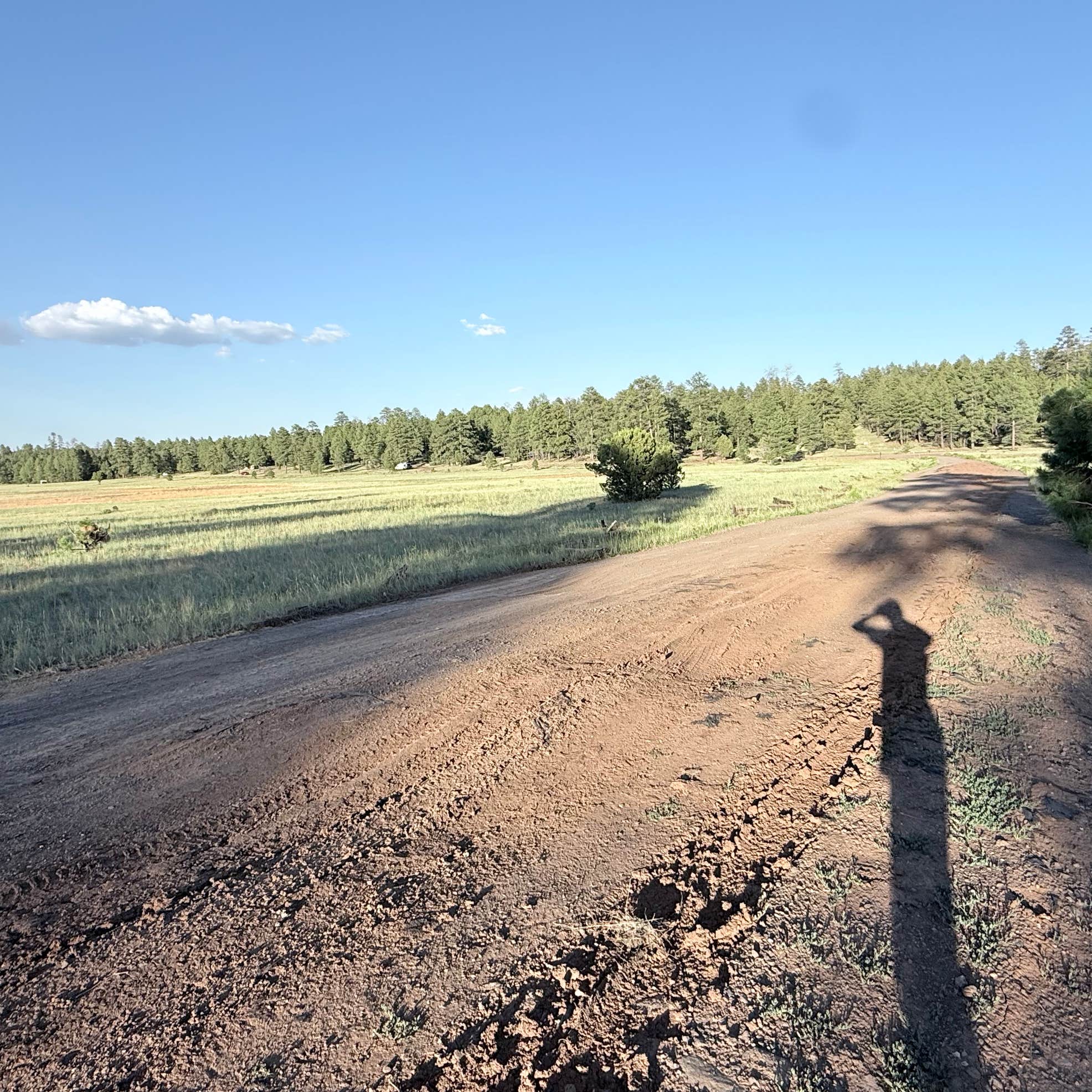 Marshall Lake Camping | Flagstaff, Arizona