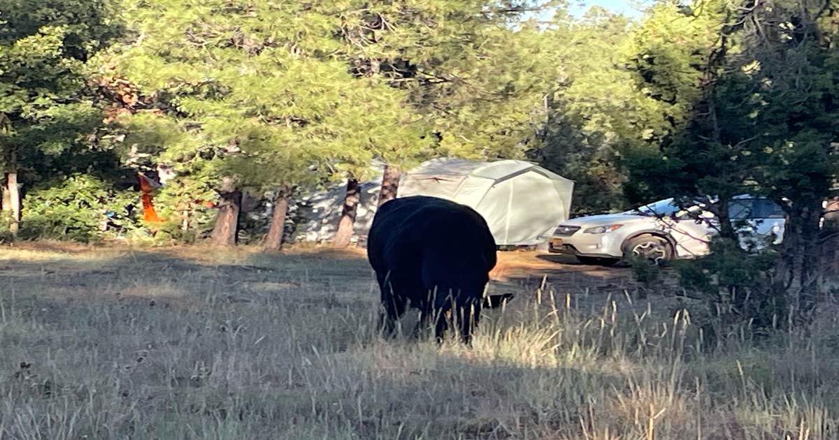 Marshall Lake Camping | Flagstaff, AZ