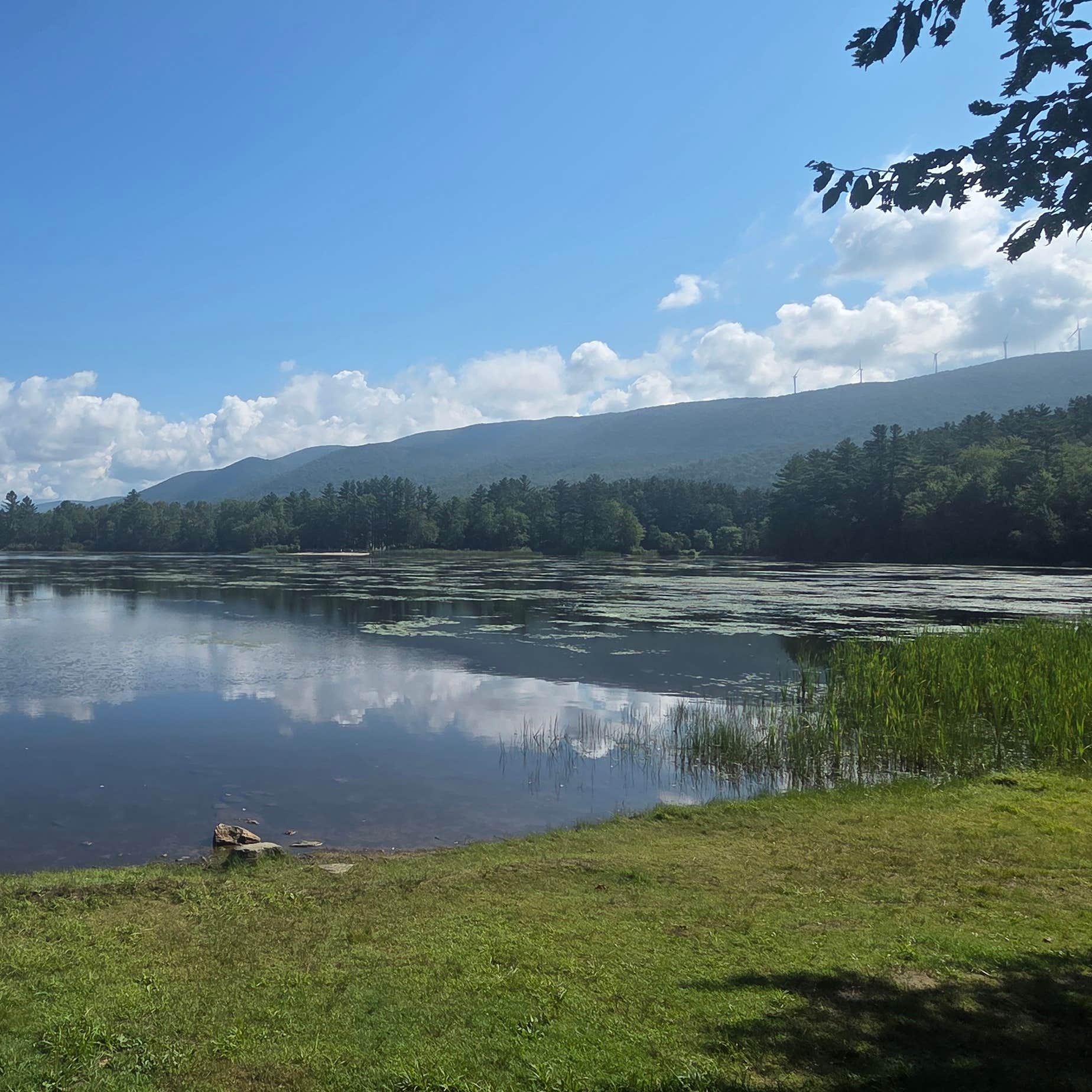 Clarksburg State Park Campground | Clarksburg, Massachusetts