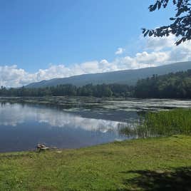 Clarksburg State Park Campground | Clarksburg, Massachusetts