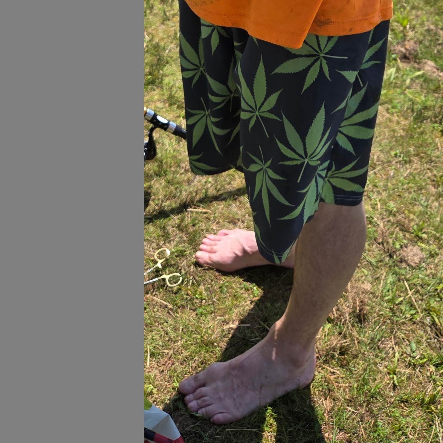 Clarksburg State Park Campground | Clarksburg, Massachusetts