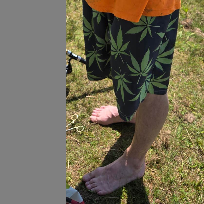 Clarksburg State Park Campground | Clarksburg, Massachusetts