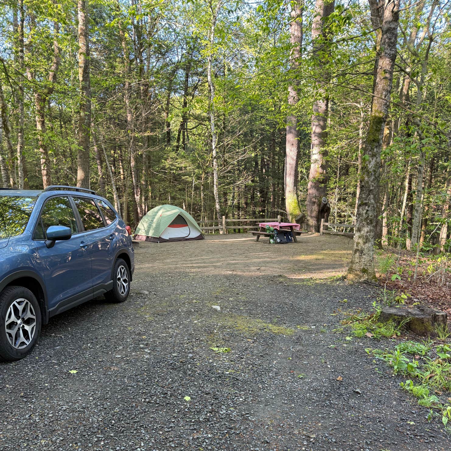 Daughters of the American Revolution (DAR) State Forest Campground ...