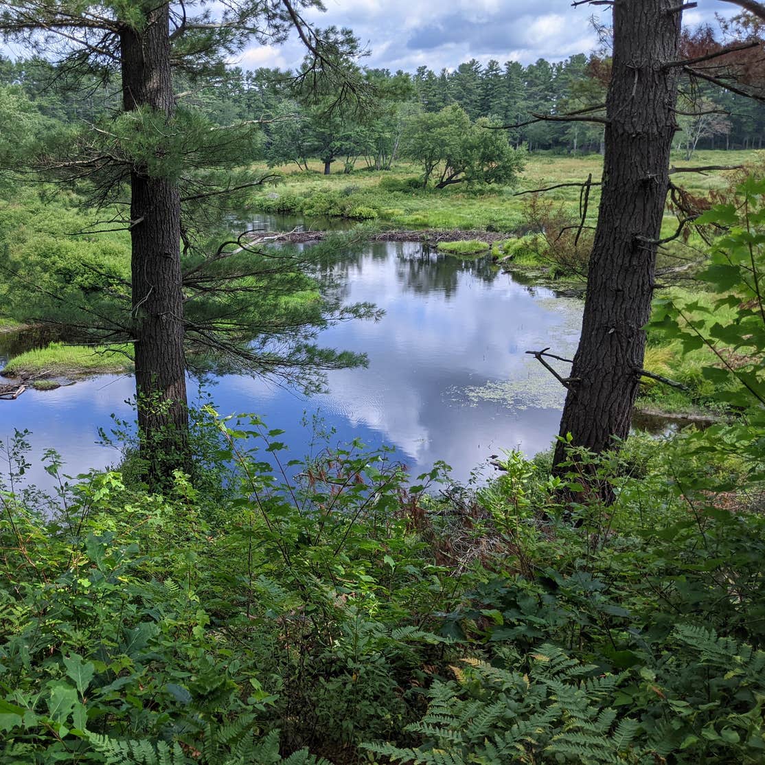 Lake Dennison Recreation Area Campground | Foster Lake, Oregon