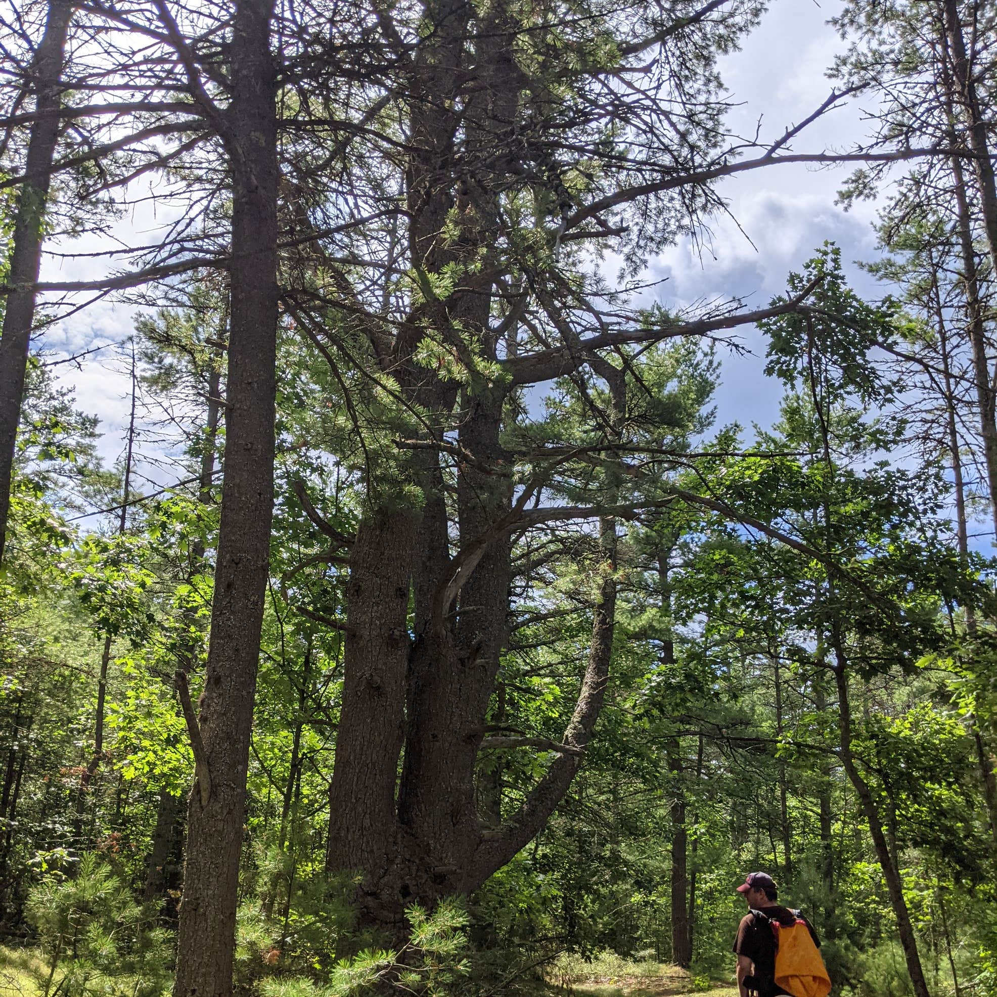 Lake Dennison Recreation Area Campground | Foster Lake, Oregon